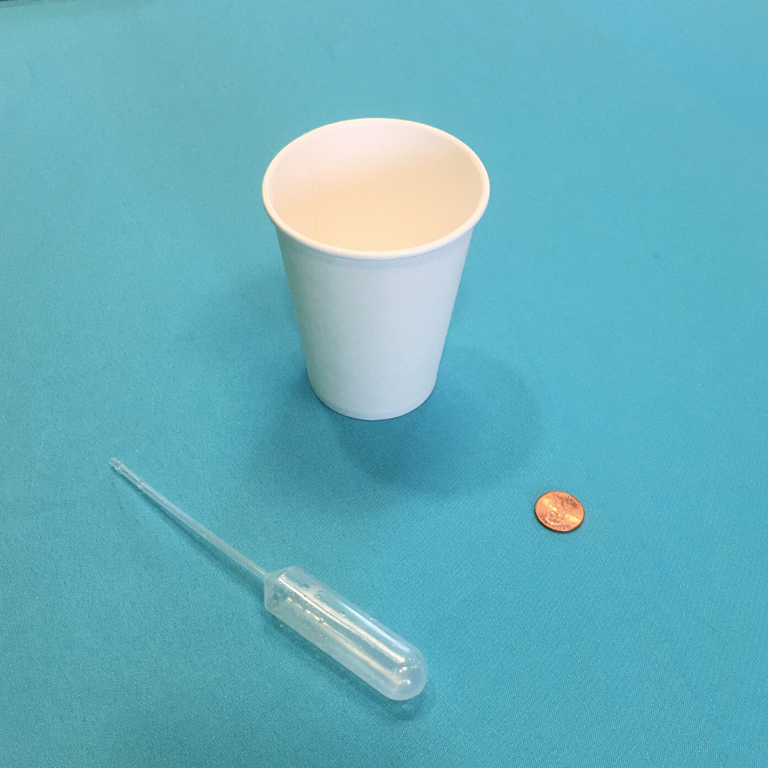 Penny Water Drop Challenge | Children's Museum of Atlanta